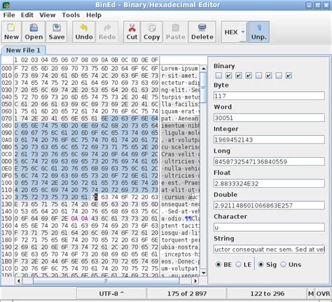 Bined Binary Hex Editor