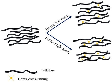 Schematic Illustration Of Cross Linking Reaction Between Cellulose Download Scientific Diagram
