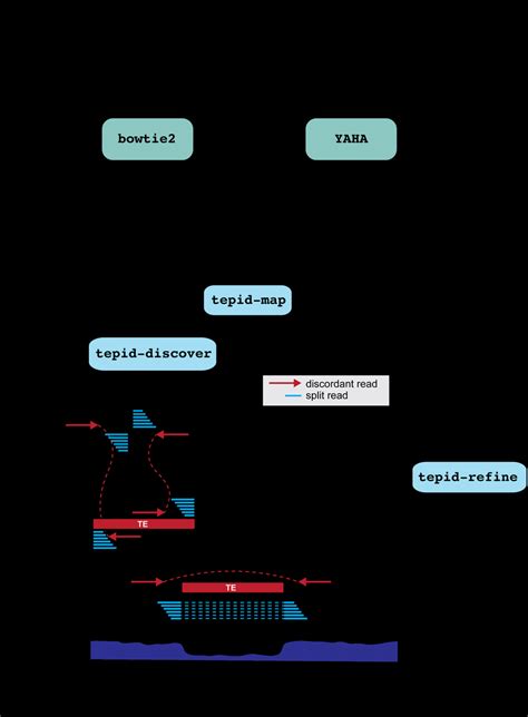 Te Variant Discovery Pipeline Download Scientific Diagram