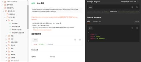 Bitcoin Api Access To Bitcoin Balance Transaction Block Information