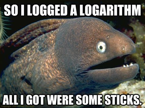 So I Logged A Logarithm All I Got Were Some Sticks Bad Joke Eel Quickmeme