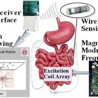 Block Diagram Of The Tracking System Download Scientific Diagram