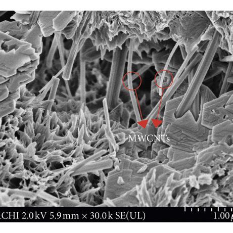 SEM Image A WCM3 B WCM1 And C CM Download Scientific Diagram