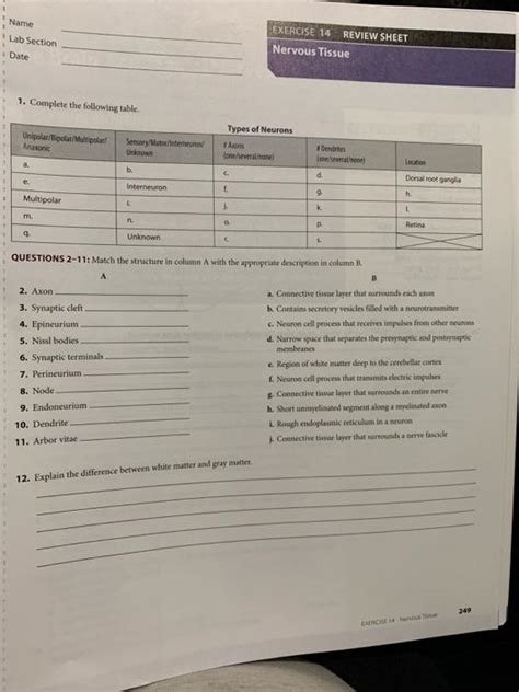 solved name lab section date exercise 14 review sheet