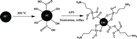 Scheme 2 Functionalization Of Activated Carbon With Aps Download Scientific Diagram