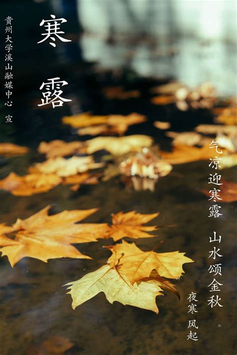 寒露至 入深秋