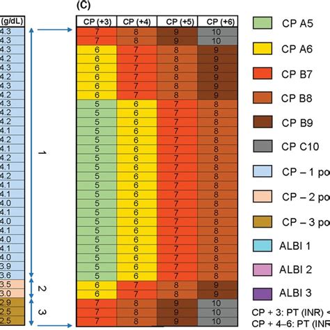 Albumin And Bilirubin Levels Panel B Are Used In The Cp Download
