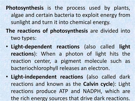 Bacterial Photosynthesis 2020 Ppt Chemistry Science