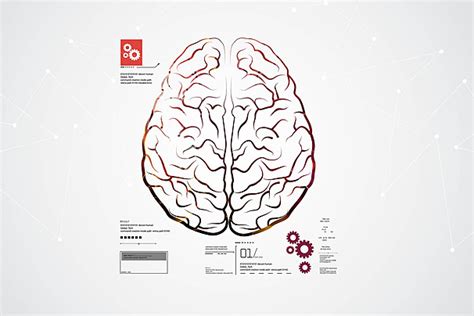 Abstract Brain Structure Stock Vector Mind Blackboard Simple Vector Mind Blackboard Simple