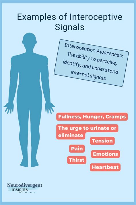 Autism Adhd And Interoception 3 Body Awareness Profiles You Should Know
