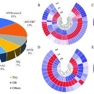 Changes In Relative Expression Levels Of DEGs Encoding Transcription