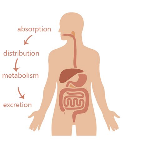 High Bioavailability Curcuprim