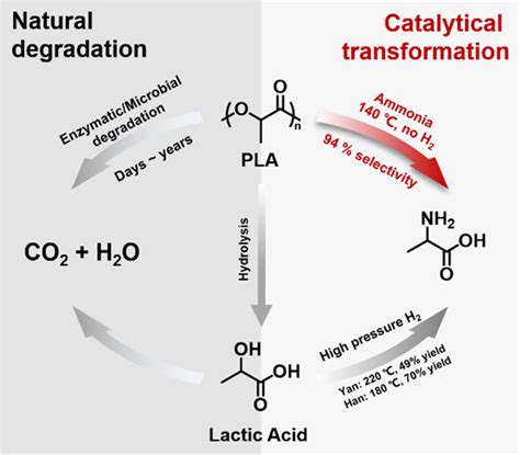 Polylactic Acid Degradation