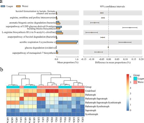 The Functional Prediction Of Root Microbiota A And B Based On Results