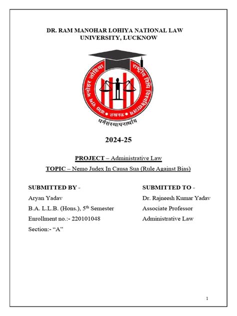 Aryan Yadav Admin Pdf Justice Crime And Violence