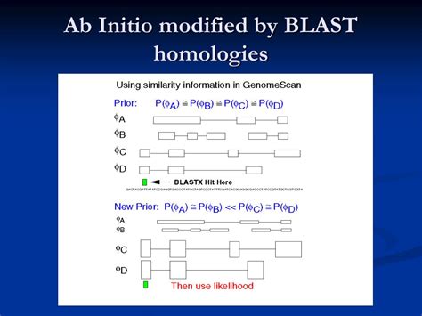 Ppt Comparative Genomics Comparative Gene Prediction In The Human