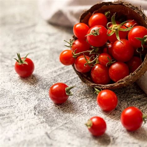 A Grade Red Cherry Tomato Packaging Type Loose At Rs 114kg In Navi