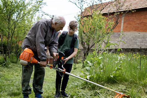 할아버지와 손자가 잔디 트리머로 키 큰 푸른 잔디를 깎고 있다 2명에 대한 스톡 사진 및 기타 이미지 2명 가정 생활 가족 Istock