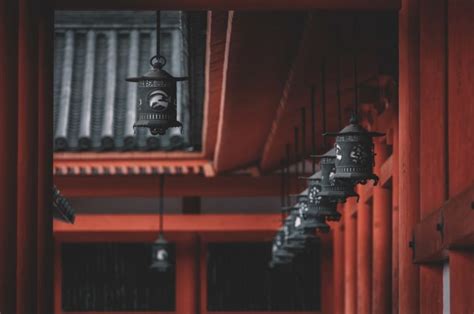 爬山賞櫻泡溫泉，手把手教你日本真正的小眾玩法，人少景美超出片！ 壹讀