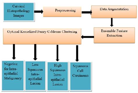 Figure 1 From Ensemble Feature Extraction Model With Optimal Kernelized Clustering Algorithm For