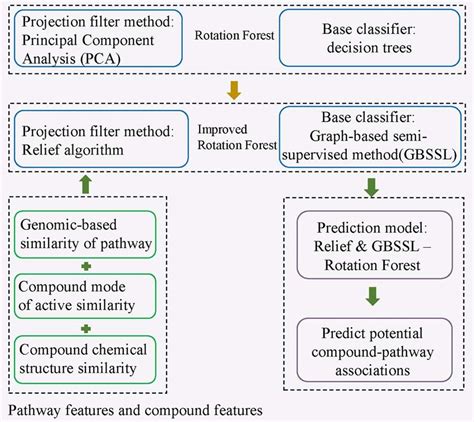 the flowchart of an improved rotation forest ensemble learning method download scientific
