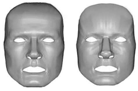 Fast And Compact Partial Differential Equation Pde Based Dynamic Reconstruction Of Extended