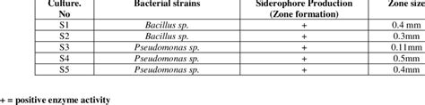 Siderophore Production By The Identified Bacterial Strains Download