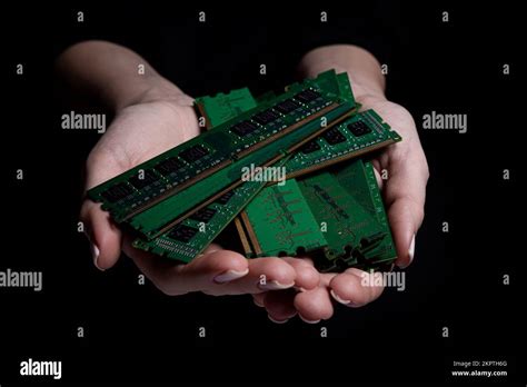 Female Hands Hold Memory Computer Card American Woman Wearing Female Hands Hold Memory Computer Card American Woman Wearing