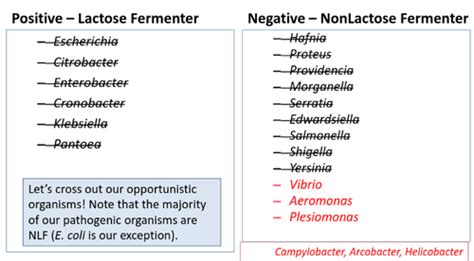 Other Primary Stool Pathogens Campylobacter Arcobacter And