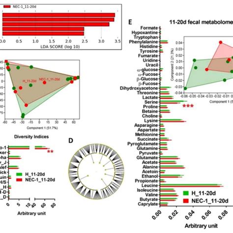 Analysis Of Gut Microbiota Microbiome And Metabolome In The Second Download Scientific Diagram