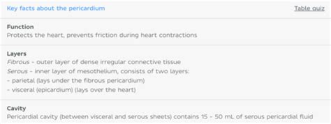 4 Cardiac Wall Endocardium Myocardium Epicardium Structure Fibrous Skeleton Flashcards