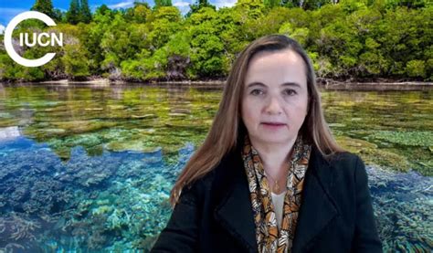 Troubleshooting Mobile Network Issues In Huawei Phones Hu