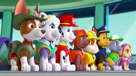 Paw Patrol Trackers Jungle Rescue Gameplay Youtube