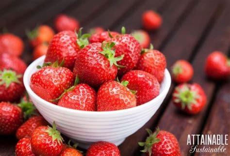 Growing Strawberries In Your Home Garden Attainable Sustainable®