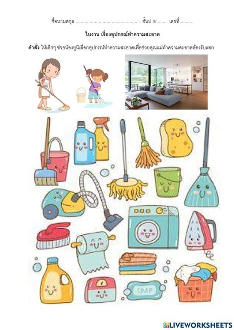 อุปกรณ์ทำความสะอาดบ้าน B1249 Live Worksheets