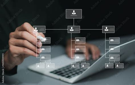 Organization Chart And Hierarchy Structure Employees In The Company With Departments In Business