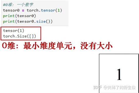 torch笔记图解tensor张量维度 知乎
