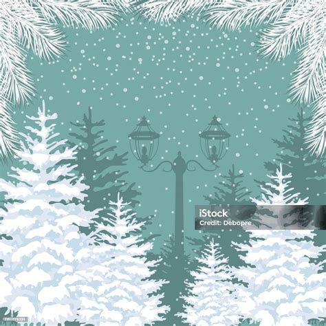 벡터 겨울 배경입니다 눈 전나무 나무와 등불 외부 공원 풍경 0명에 대한 스톡 벡터 아트 및 기타 이미지 0명 12월 1월 Istock