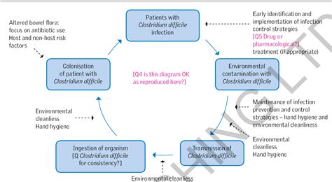 Figure 1 From Clostridium Difficile Infection Nursing Considerations Semantic Scholar