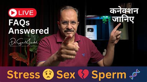 Stress Sex And Sperm The Hidden Triangle Step By Step Guide With Dr