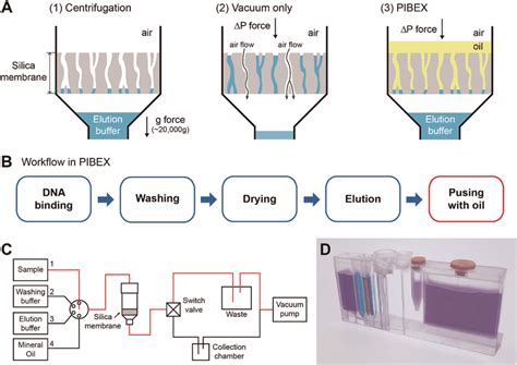 Integrated Microfluidics Pibex For Cfdna Extraction A Comparison Of