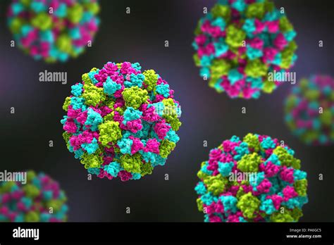 Norovirus Computer Illustration Norovirus Is A Genus Of Rna