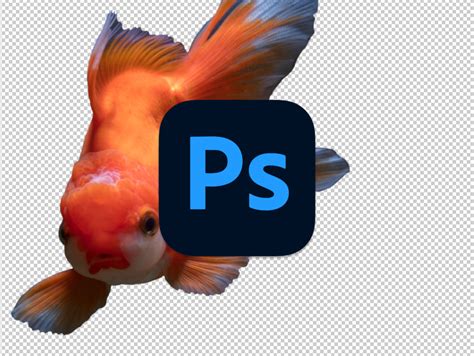 コピペで簡単HTML CSSで作るボタンデザイン集 CSS HTML WEB NOR NO HACO デザインのハコ