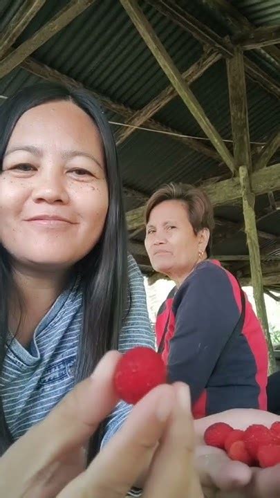 Nanguha Ng Sampinit Wild Strawberry Shorts Youtubeshorts Shortviral Nature Youtube
