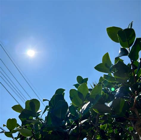 大人と子供の違い 【歳の差カップル】18歳年下彼氏