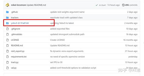 手把手教你搭建yolov5 Strongsort With Osnet环境 知乎