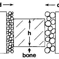 Particle Size Comparison 11 Download Scientific Diagram