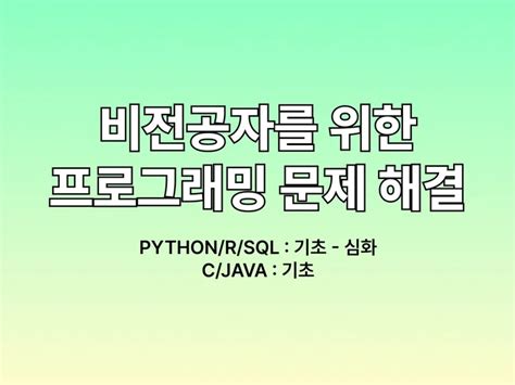 비전공자를 위한 프로그래밍 문제 해결 해드립니다 크몽