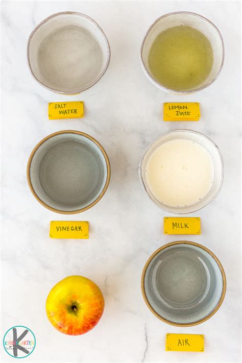 🍏 Apple Browning Science Experiment With Free Oxidation Worksheet