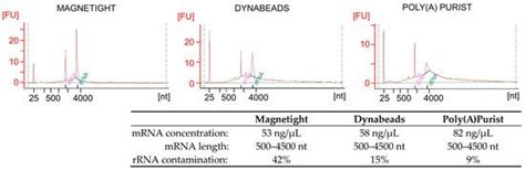Łukasz Pauszek On Linkedin The Evaluation Of Shape Map Rna Structure